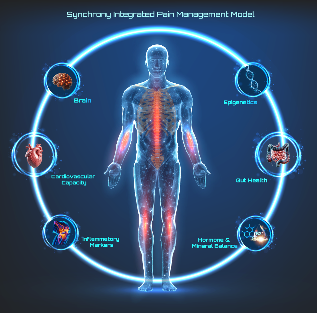 Synchrony Health – Physiotherapy & Chiropractic Experts